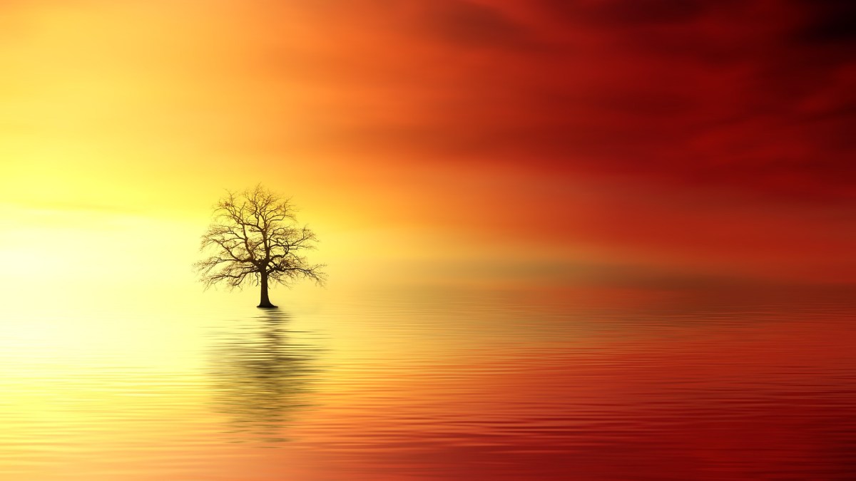 Reforms of Nehemiah – Nehemiah 13 – Redeemed Mind